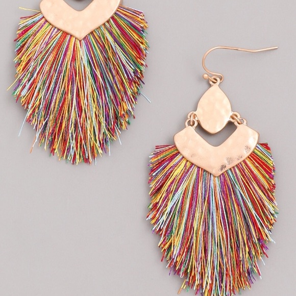 Jewelry | Multi Color Fringe Earrings | Poshmark